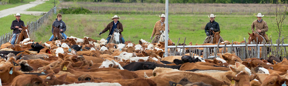 Benefits - AgReserves