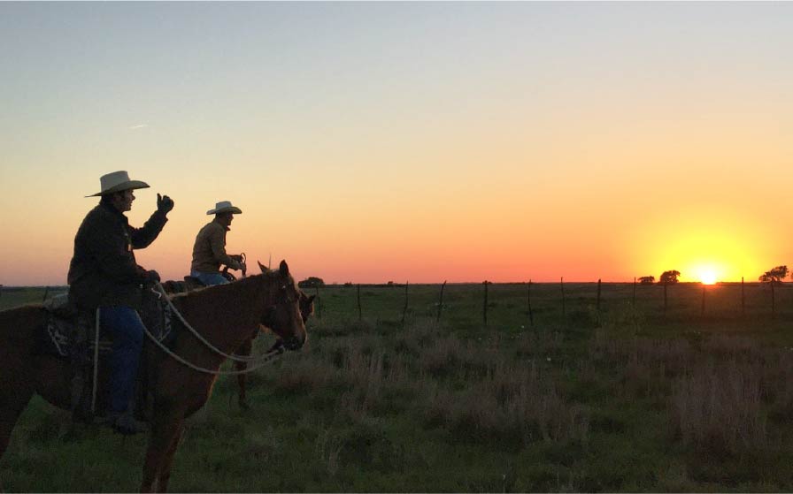 Core Values - AgReserves